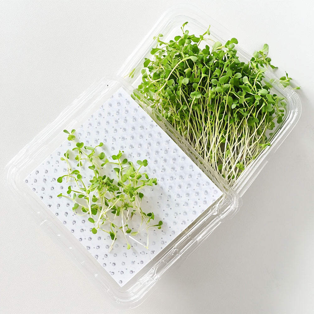 Hydra-Sorb Eco Moisture Absorbent pads for vegetables and fruit